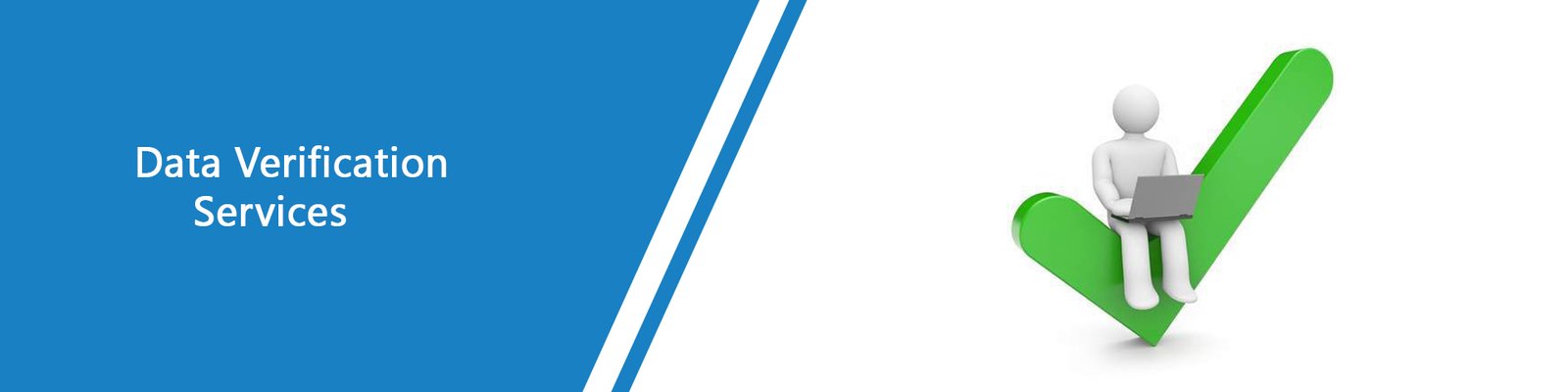 Data Verification Services & Data Validation Services Company in India