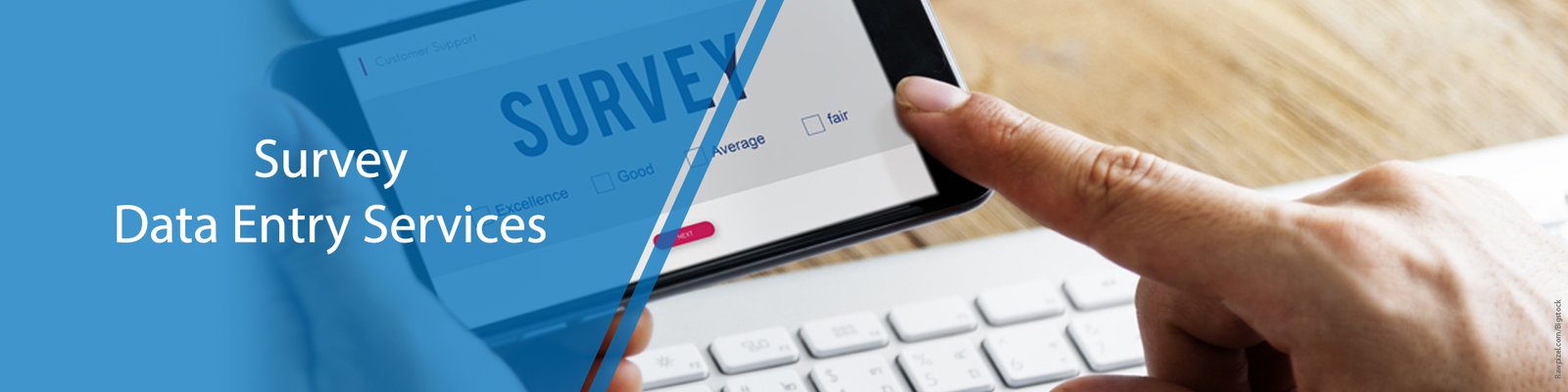 Survey Data Entry Services | Questionnaire Data Entry Services India